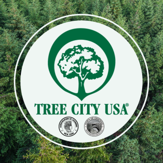 Tree City Usa Logo